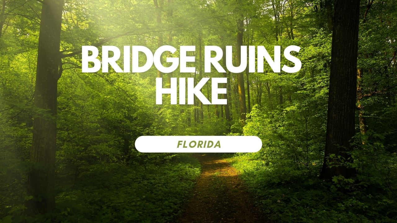 Bridge Ruins: Florida Hiking Trails - The Long Haired Traveler