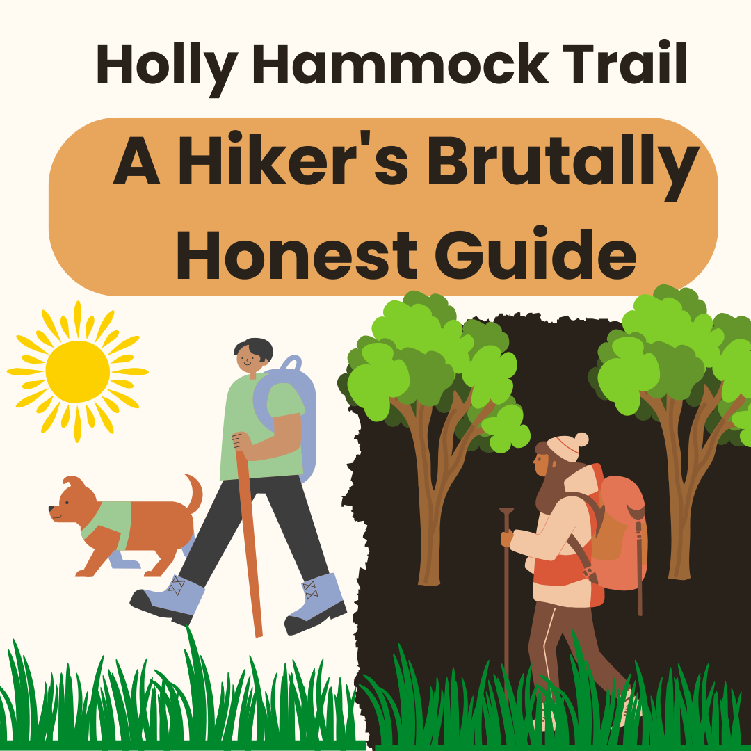 Holly Hammock Trail Florida A Hiker's Brutally Honest Guide - The Long ...